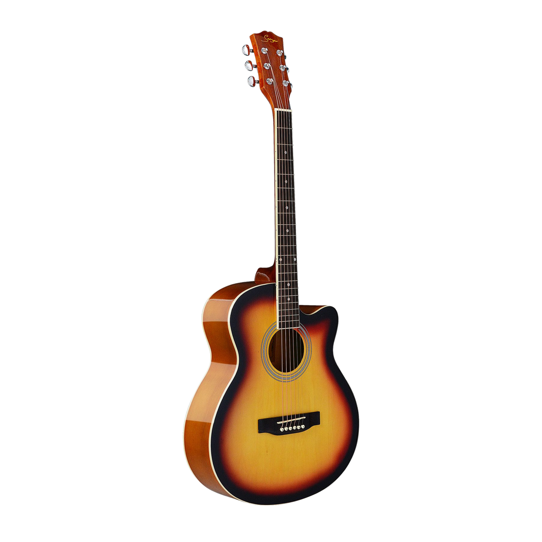 Acoustic Guitars – Smiger.LuxarsPH